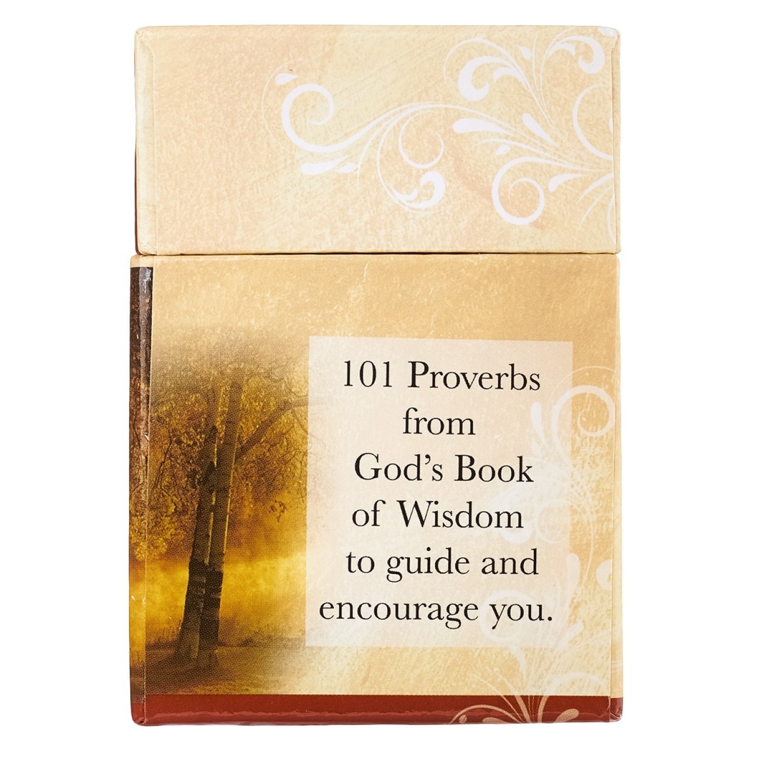 BX041-101 Proverbs to Live By Box of Blessings